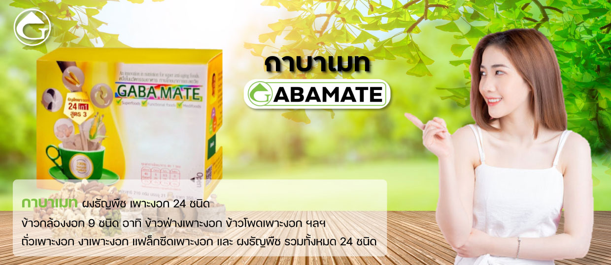 GABAMATE ผงธัญพืช เพาะงอก 24 ชนิด ข้าวกล้องงอก 9 ชนิด อาทิ ข้าวฟ่างเพาะ ...